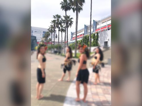 IMG_2475 | HAUMARUNUI