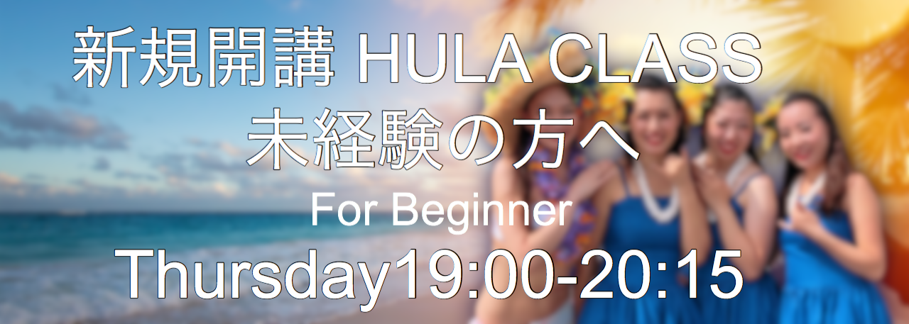 phonto 12 | HAUMARUNUI